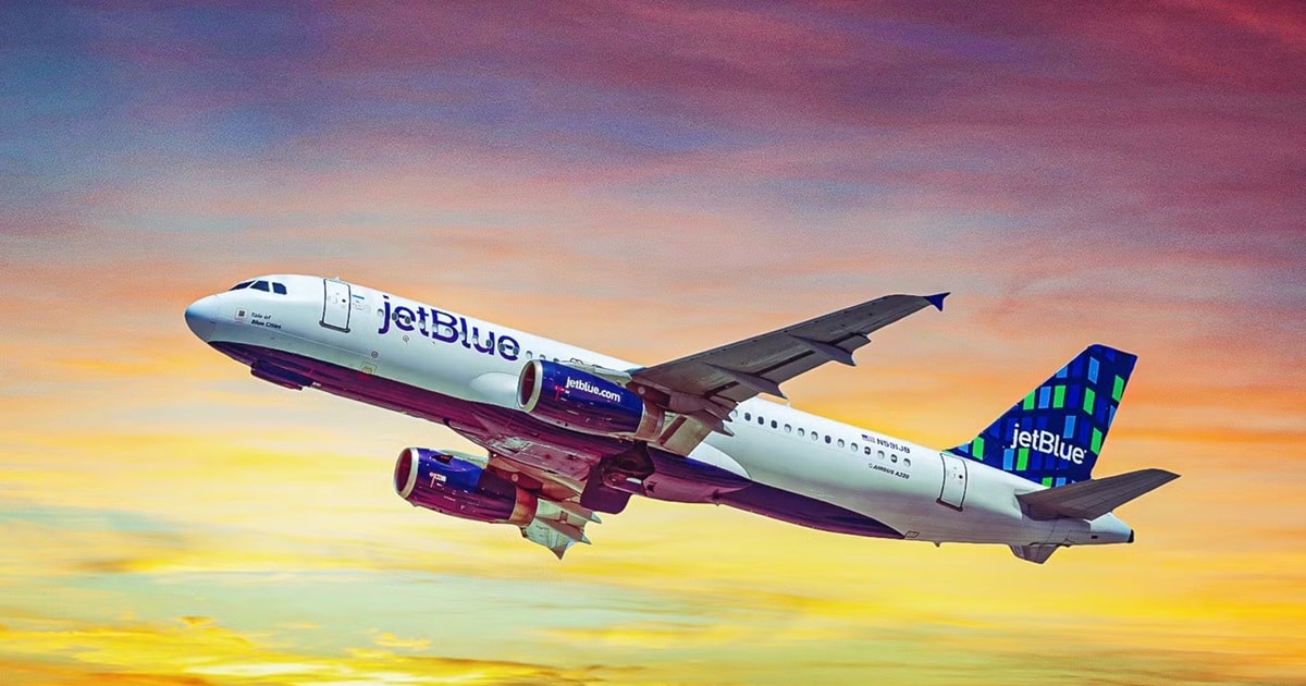 Hành khách phát hiện chuột trên máy bay của hãng JetBlue